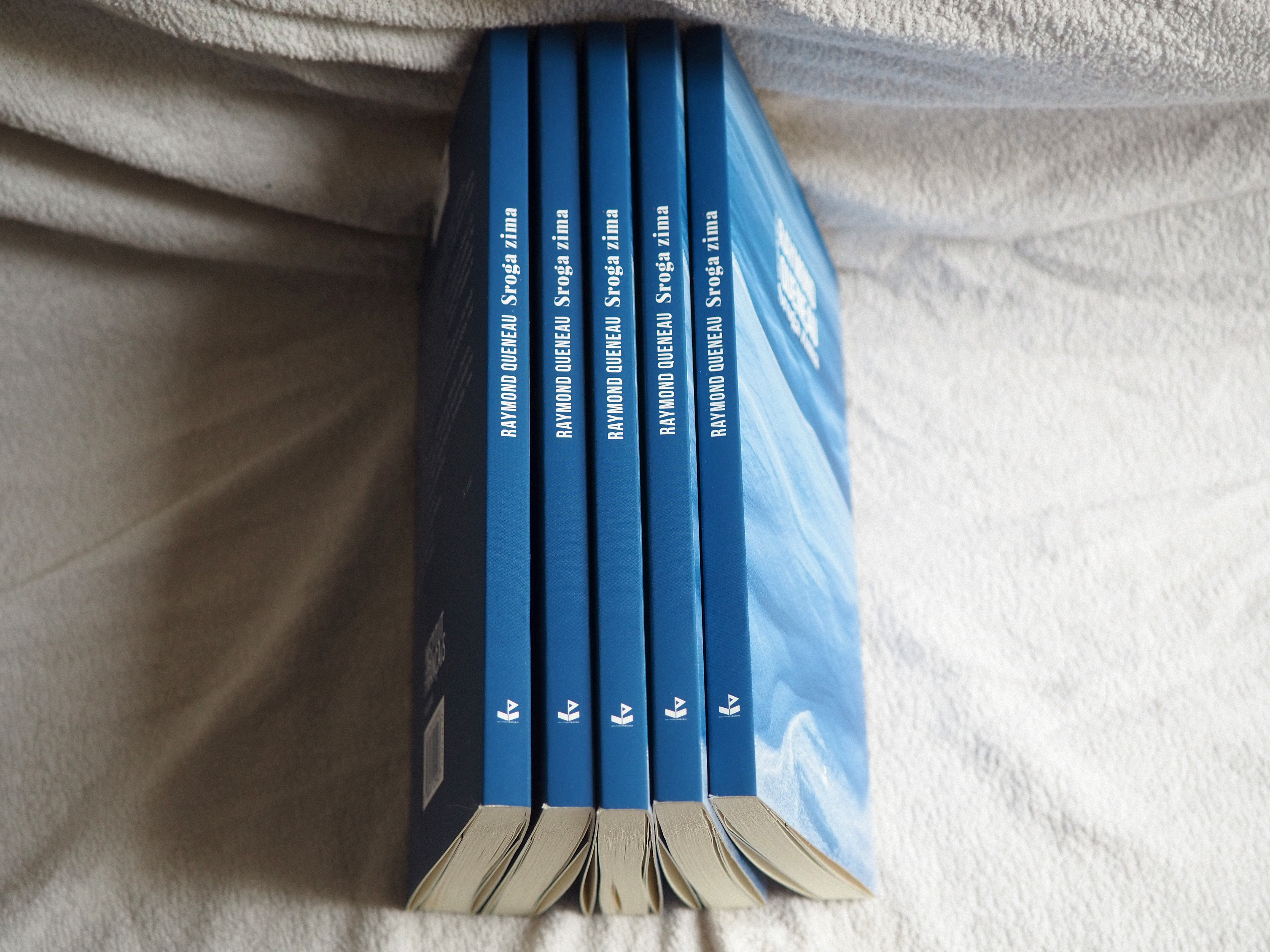 Sroga zima :: Biuro Literackie